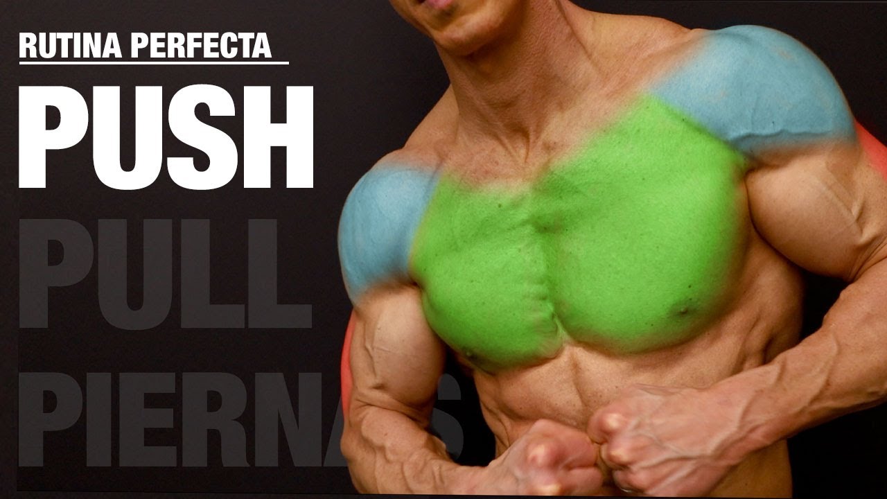 Beneficios de los Ejercicios de Fuerza para Mejorar la Potencia de ...