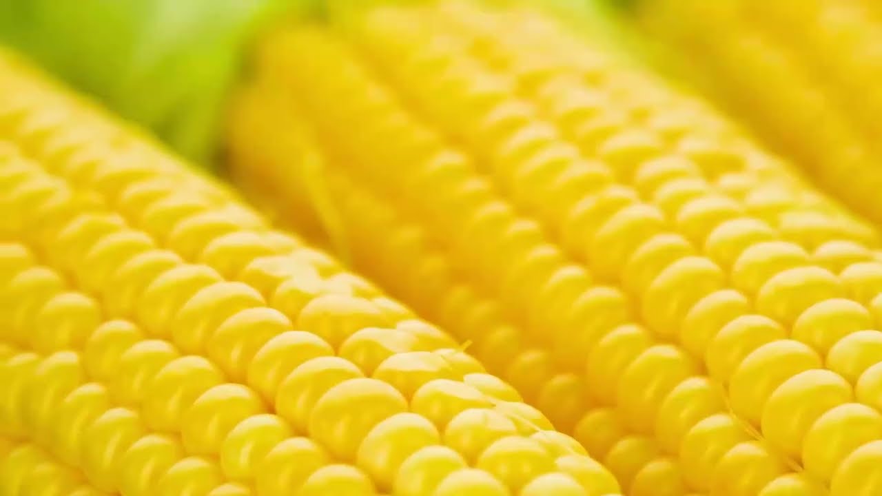 Ensaladas Saludables: Sabor y Color en Cada Bocado - Amantes del hierro